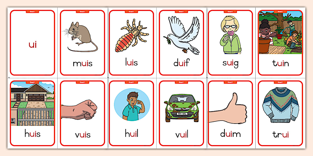 Graad 1 Klanke Flitskaarte ui (teacher made) - Twinkl