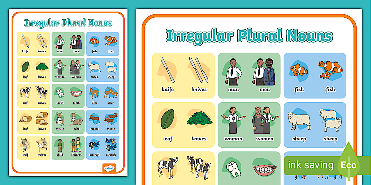 Irregular Plural Nouns Display Poster (teacher made)