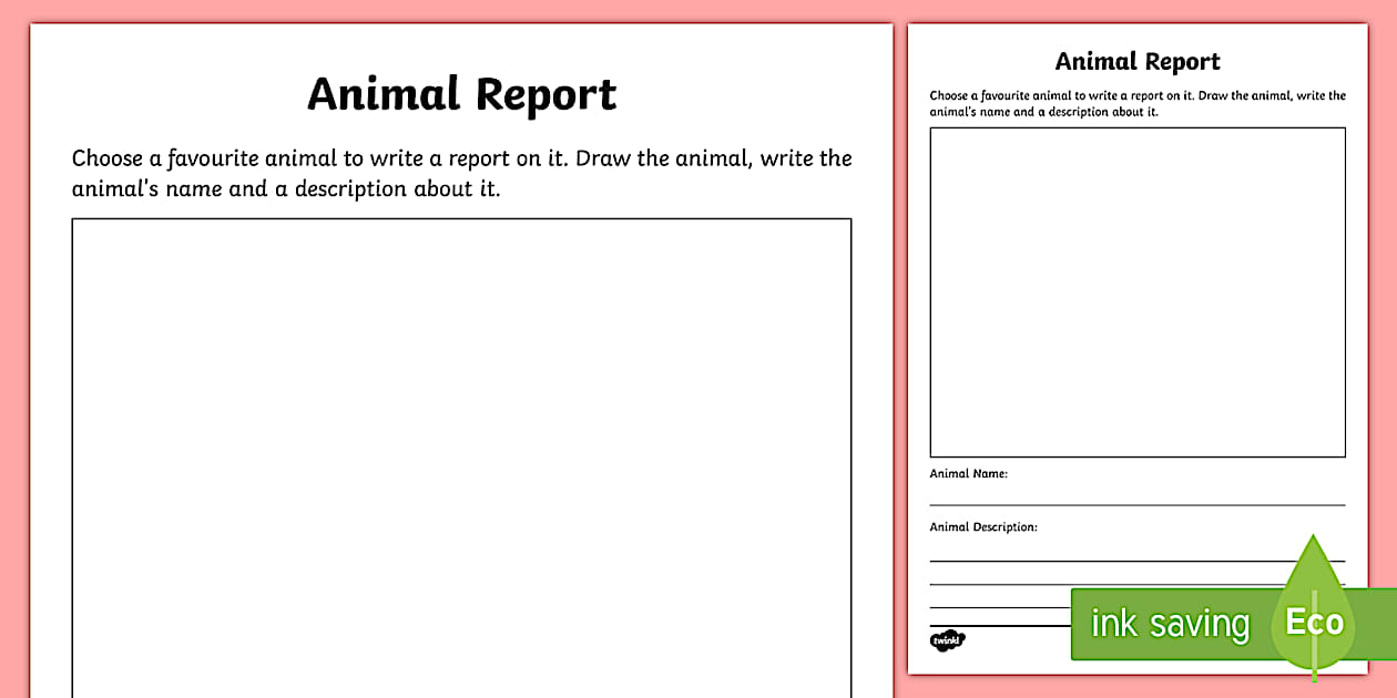 Animal Report F-2 Worksheet (teacher made) - Twinkl