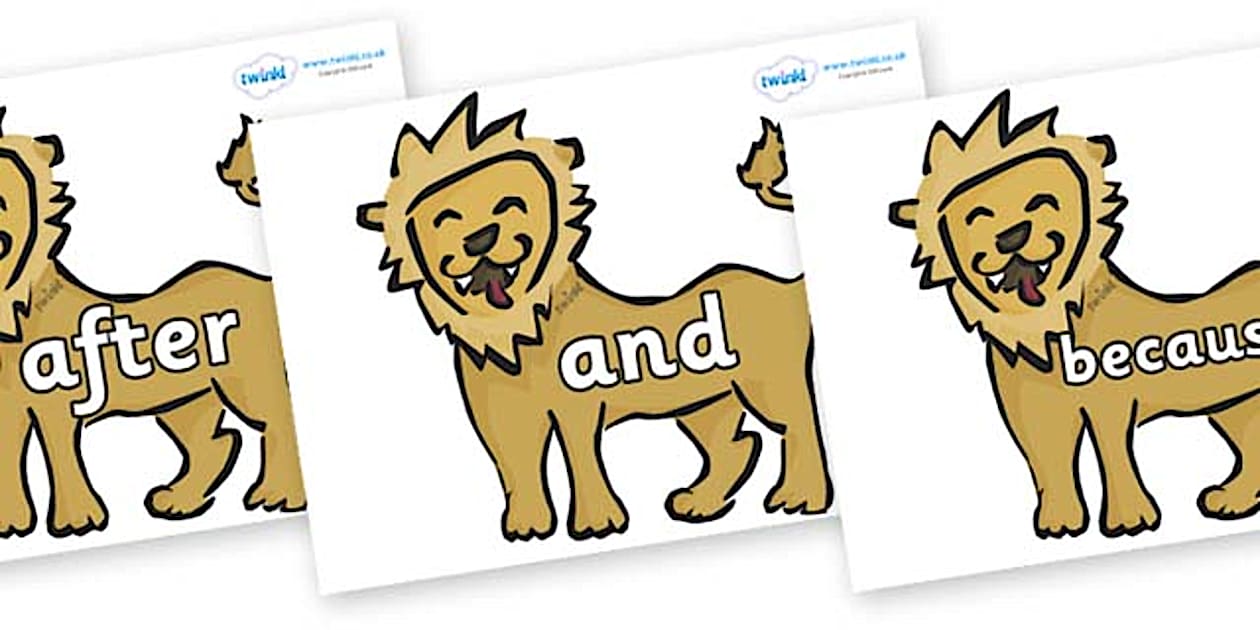 Connectives on Lions (Teacher-Made) - Twinkl