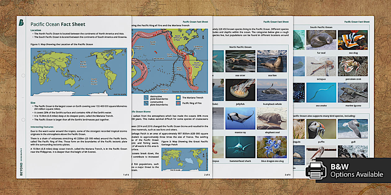 Marine Biomes - Pacific Ocean Fact File | Beyond Secondary