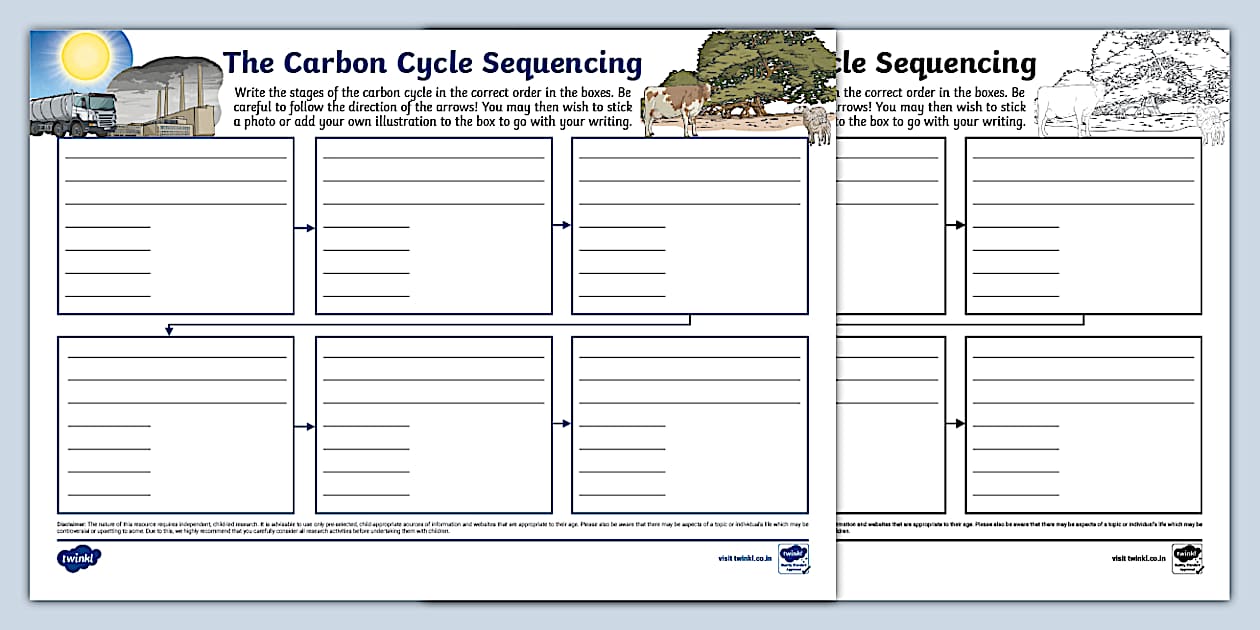 Carbon Cycle Sequencing Mind Map (Teacher-Made) - Twinkl