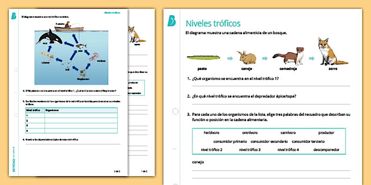 Guía Ciencias Naturales: Niveles tróficos - Twinkl Colombia