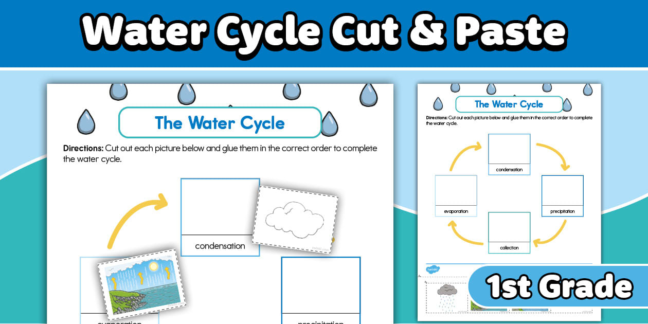 First Grade Water Cycle Cut and Paste Worksheet
