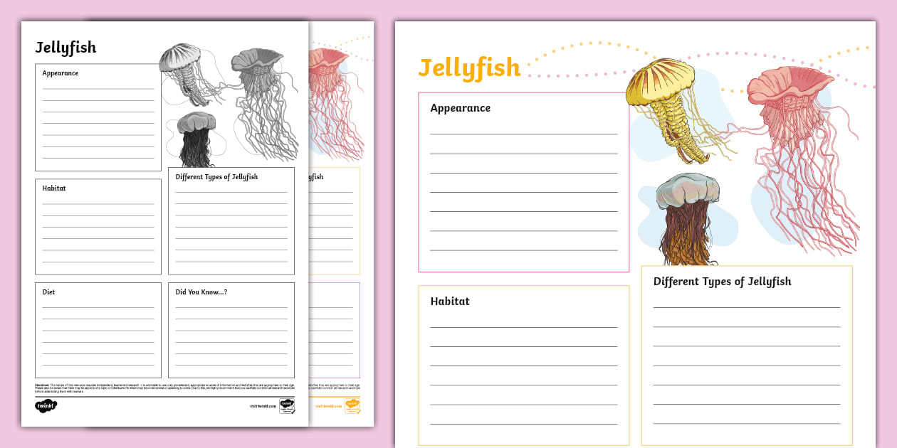 KS2 Jellyfish Fact File Template (teacher made) - Twinkl