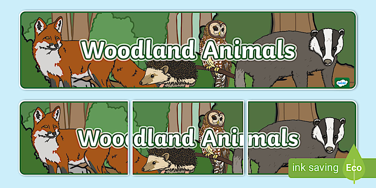 Woodland Animals Display Banner - KS1 - Twinkl