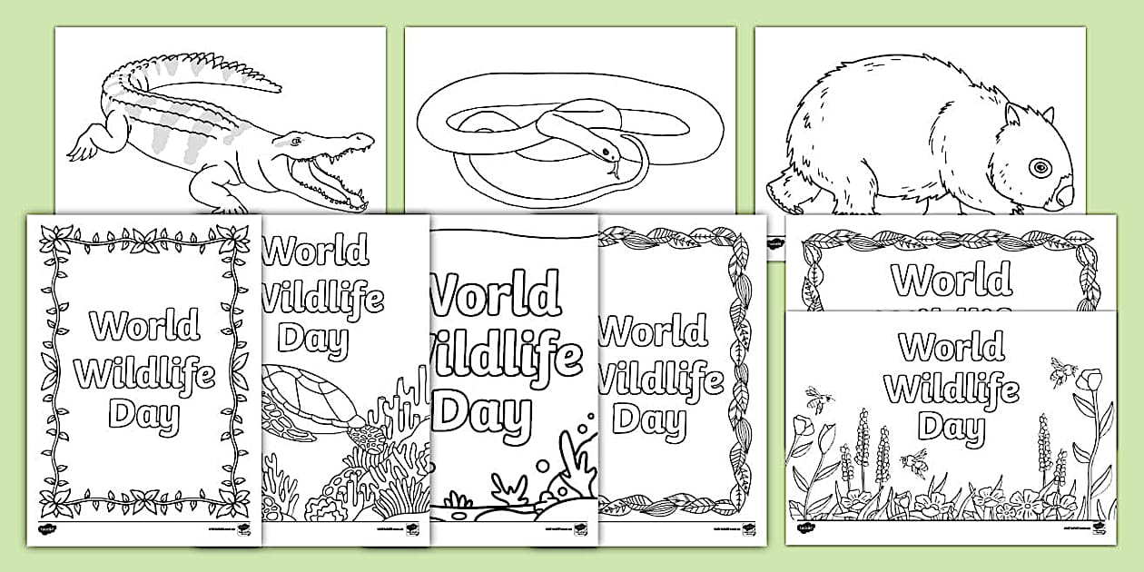 World Wildlife Day Australian Animal Colouring Pages