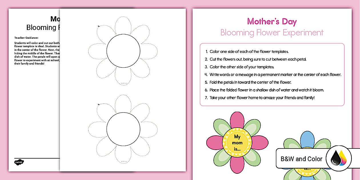 Blooming Flower Craft and Science Activity | Twinkl USA