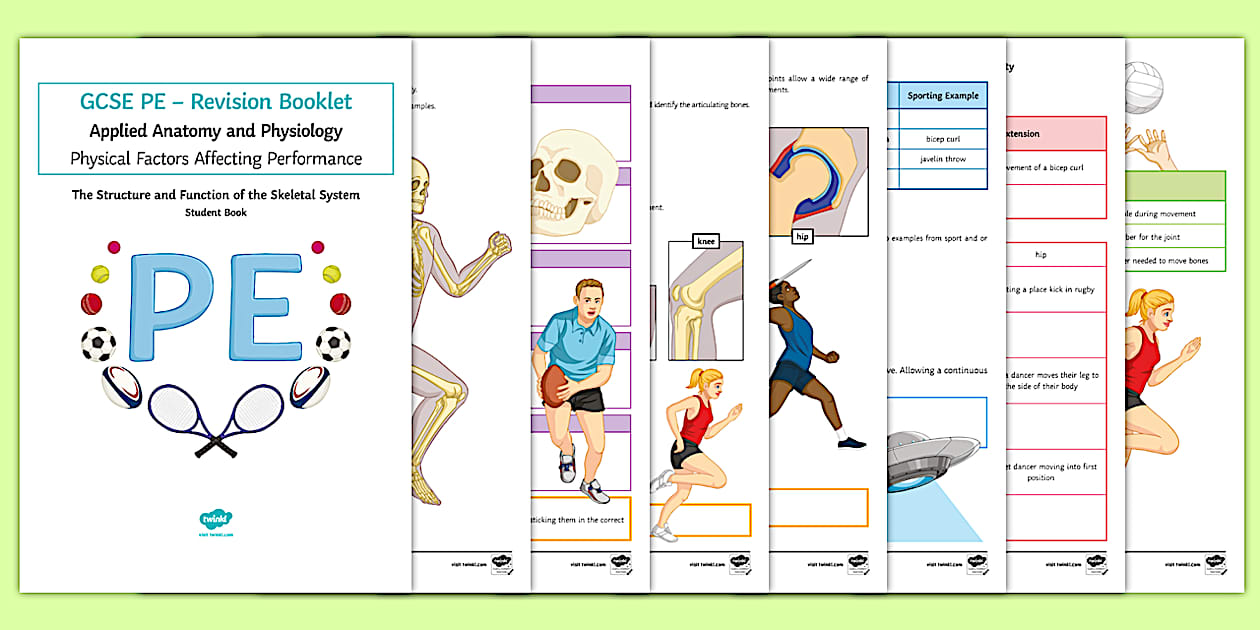 GCSE PE: The Structure and Function of the Skeletal System Revision Booklet