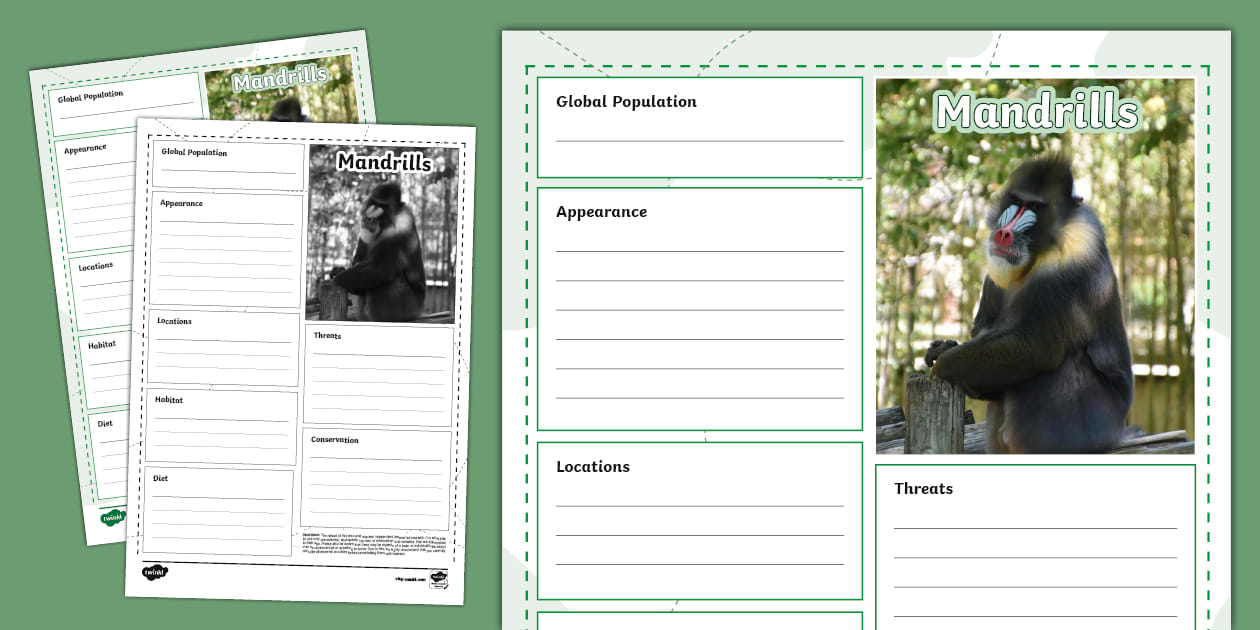 Mandrills Fact File Template - Twinkl Primary (Teacher-Made)