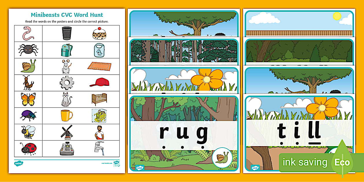 Minibeasts CVC Word Hunt (teacher made) - Twinkl