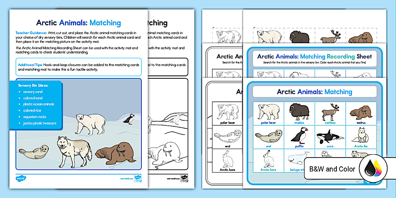 Arctic Animals Sensory Bin Matching Activity Mat - Twinkl