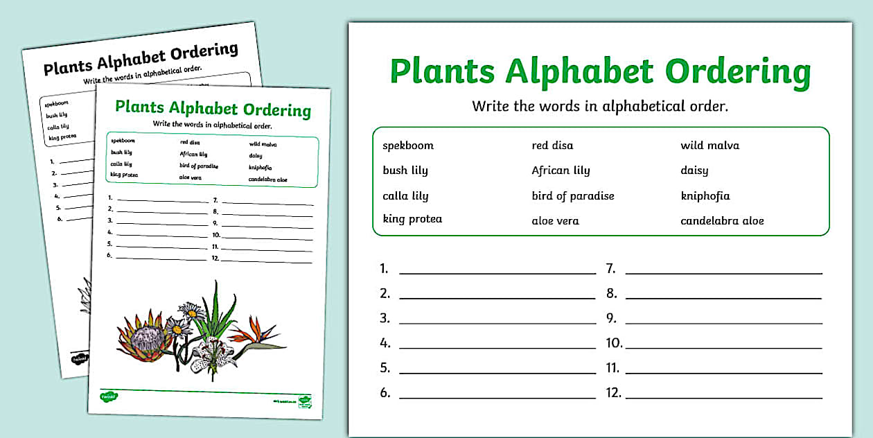 Plants Alphabet Ordering Worksheet (teacher made) - Twinkl