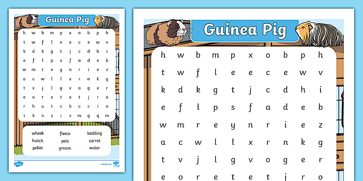 Guinea Pig Word Search (Hecho por educadores) - Twinkl