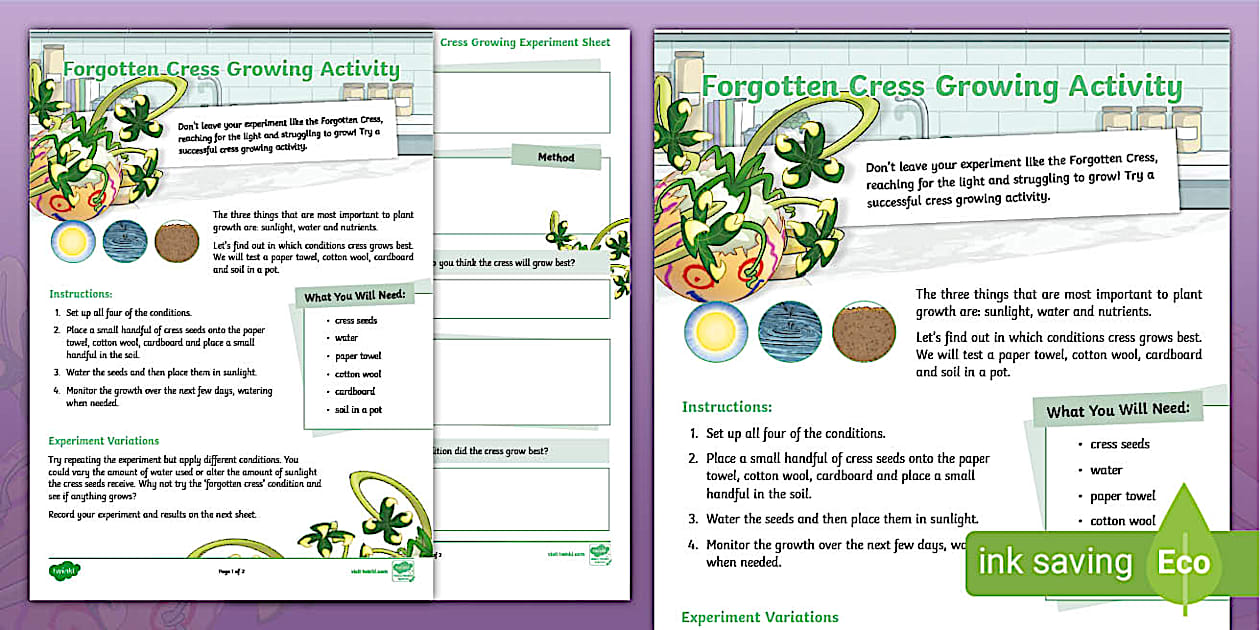 Forgotten Cress Growing Activity (teacher made) - Twinkl
