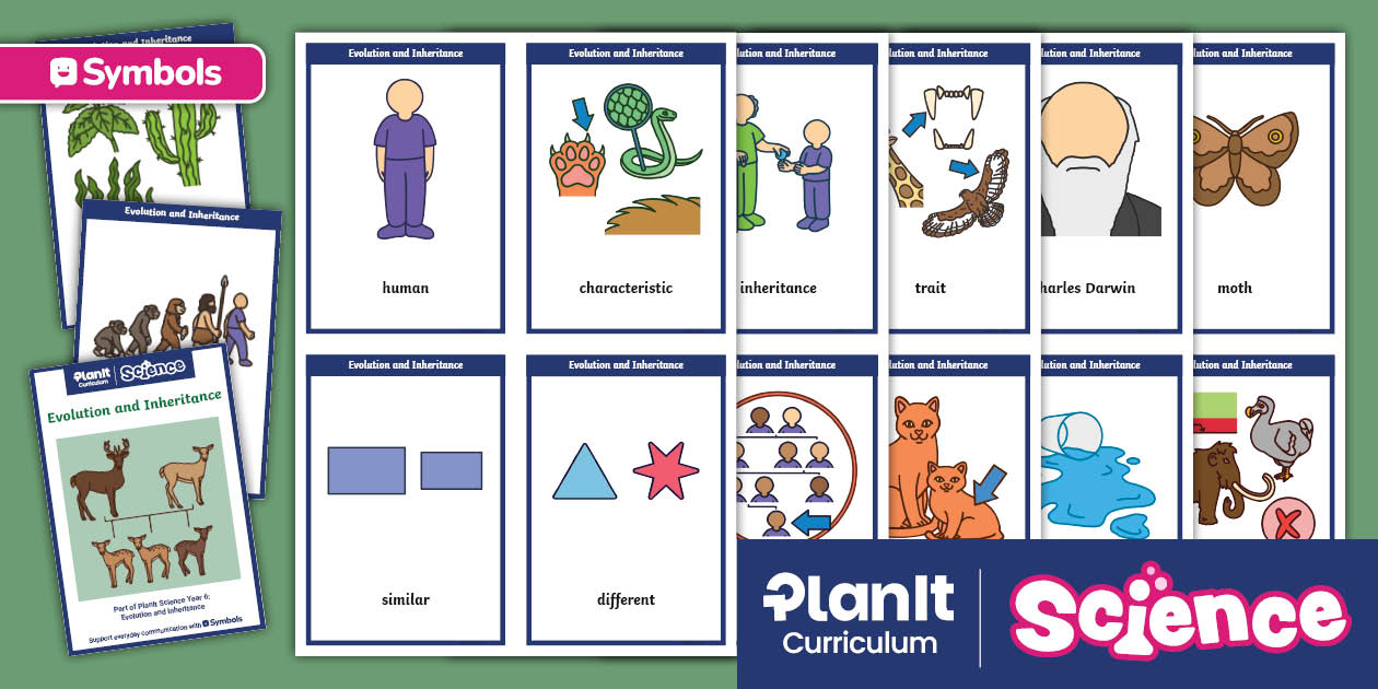 Twinkl Symbols: Evolution and Inheritance: Flashcards