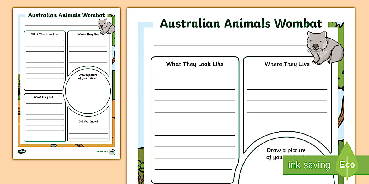 Editable Australian Animals Wombat Information Report Writing Template