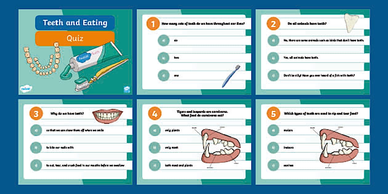 Fun Dental Trivia Questions and Answers Quiz | Twinkl USA