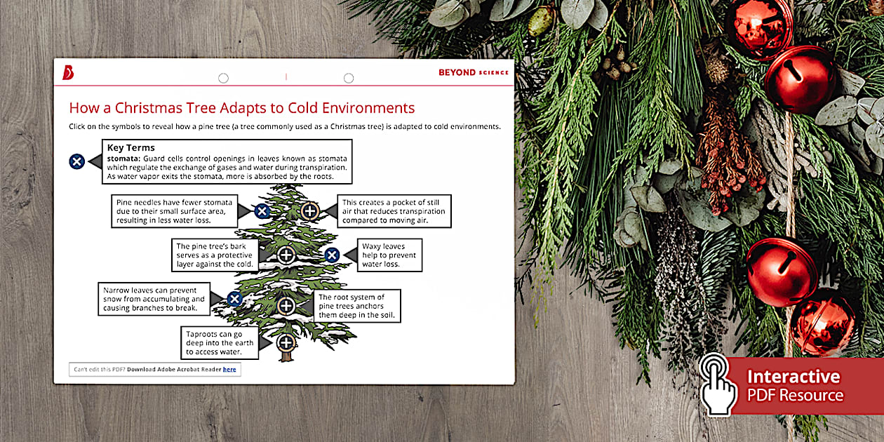 KS3 Christmas Tree Adaptation Interactive Hotspot - Twinkl