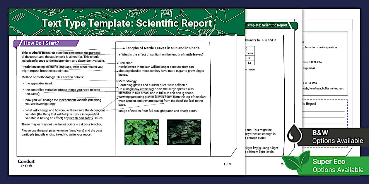Text Type Template: Scientific Report (teacher made)