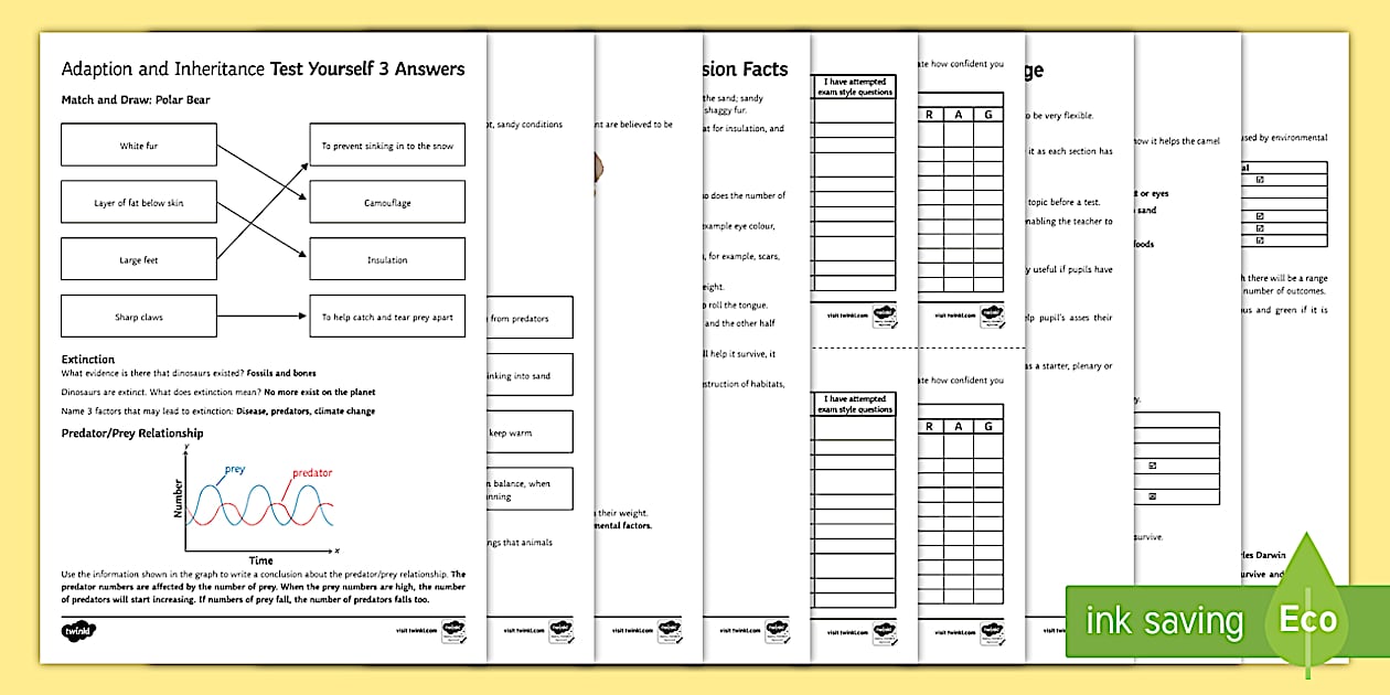 Adaptation Assessment Package (teacher made) - Twinkl