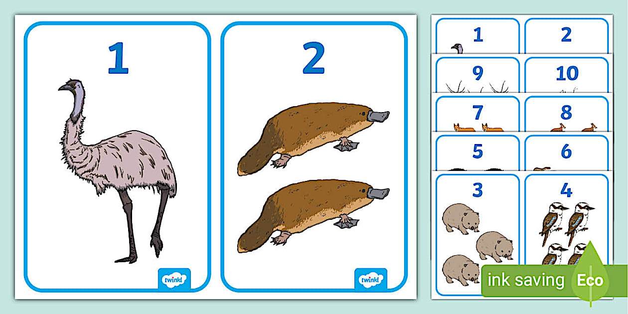 Australian Animal Number Cards (1-10) (teacher made)