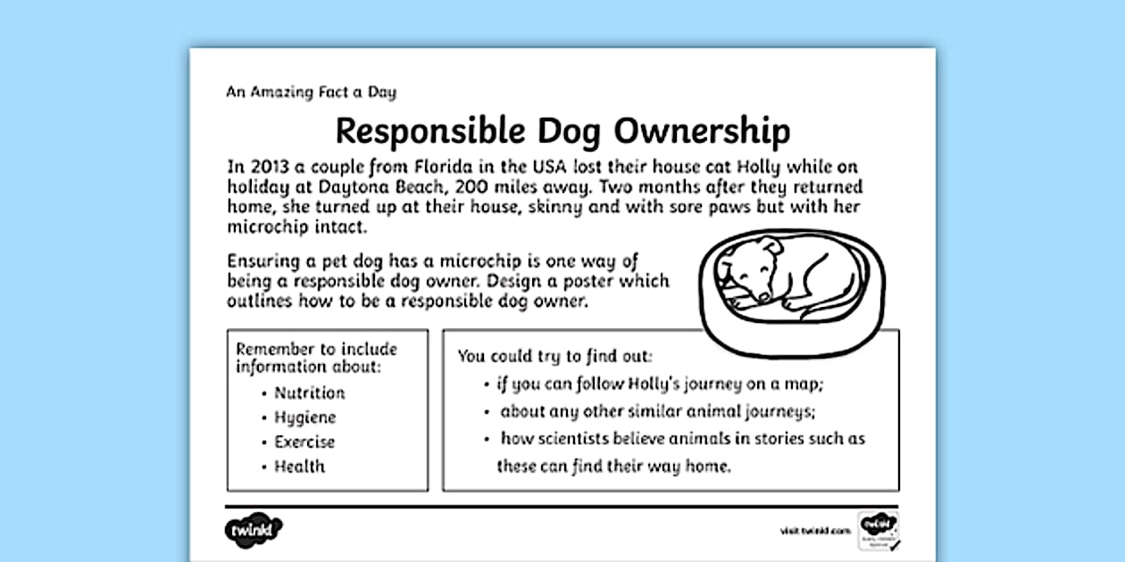 Editable Responsible Dog Ownership Worksheet (teacher made)