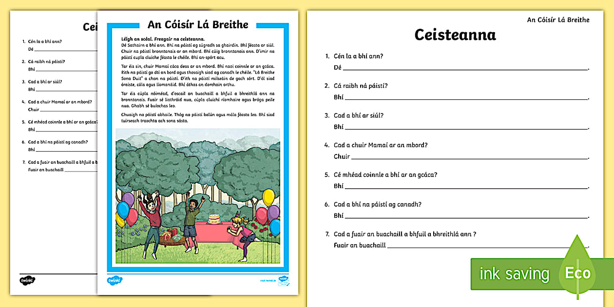 The Birthday Party Reading Comprehension | Gaeilge Resources