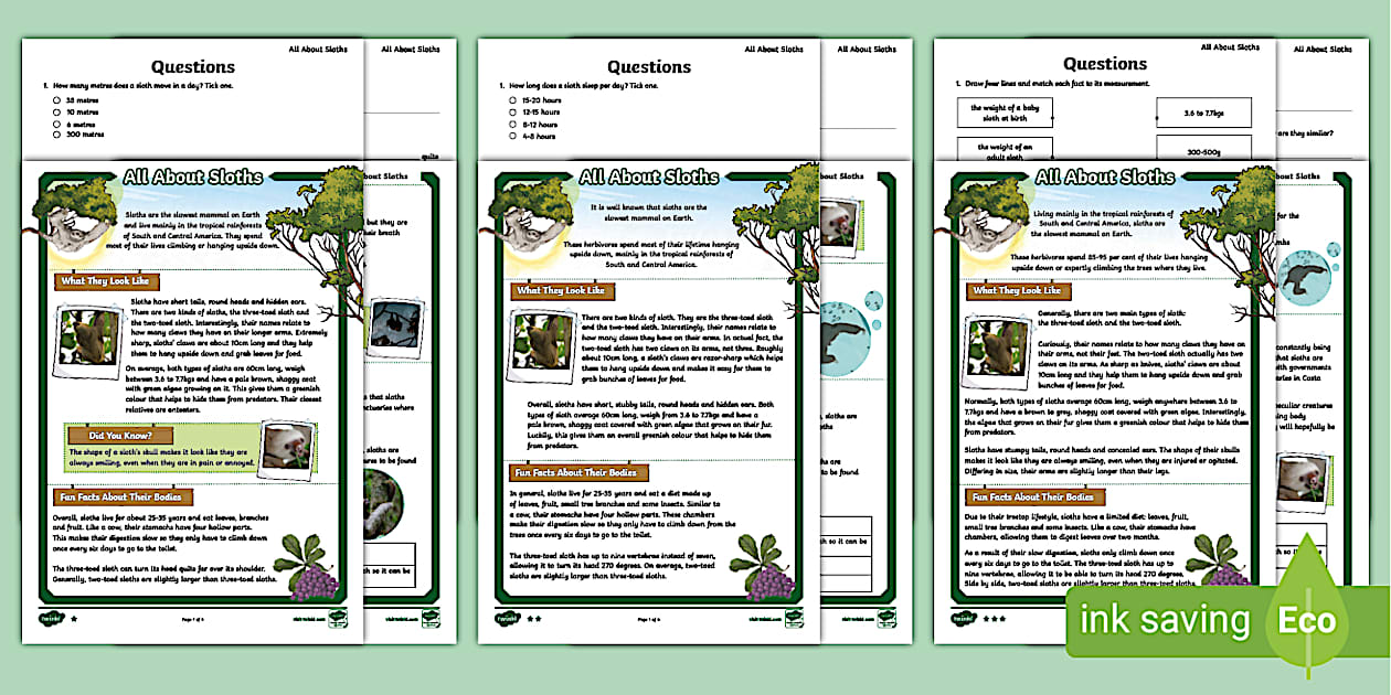 LKS2 All About Sloths Reading Comprehension Activity