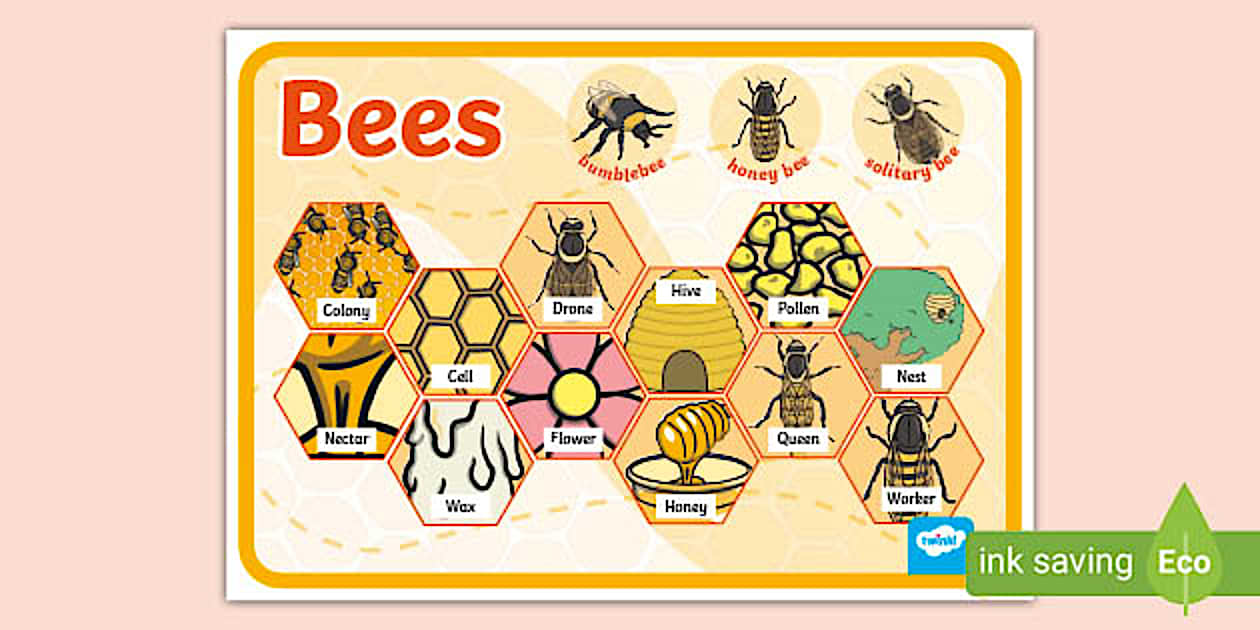 Bees Word Mat (teacher made) - Twinkl