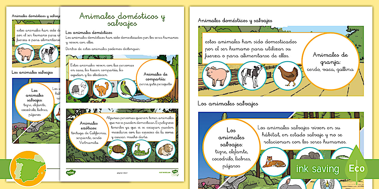 Hoja informativa: Animales domésticos y salvajes - Twinkl