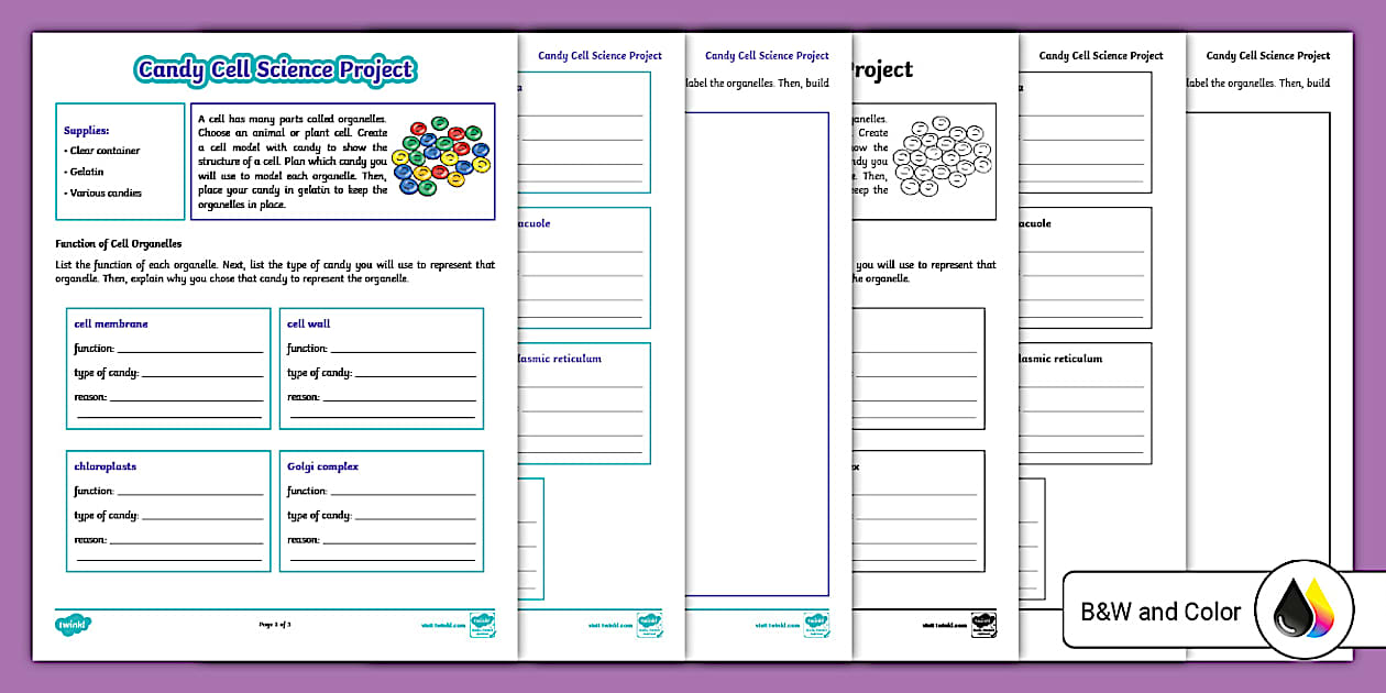 Candy Cell Project | Resource | Twinkl USA (Teacher-Made)