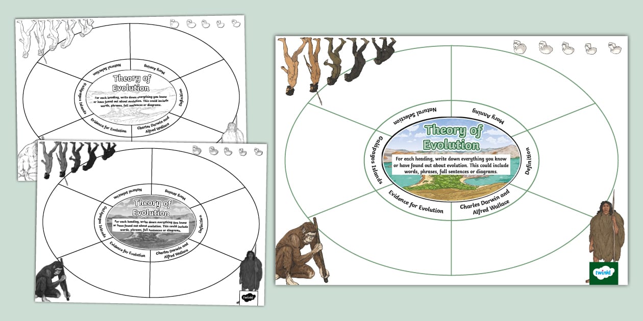 Theory of Evolution Around the Table - Twinkl
