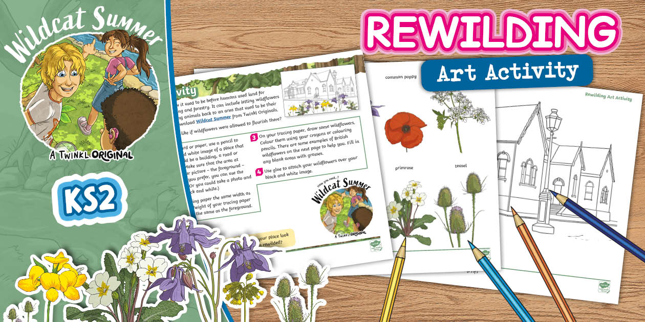 KS2 Rewilding Art Activity: Environmental Awareness Art