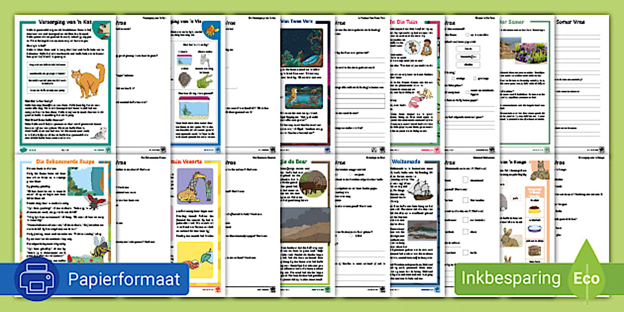 Begripslees en Begripstoets (Kort Begripstoetse Graad 2)