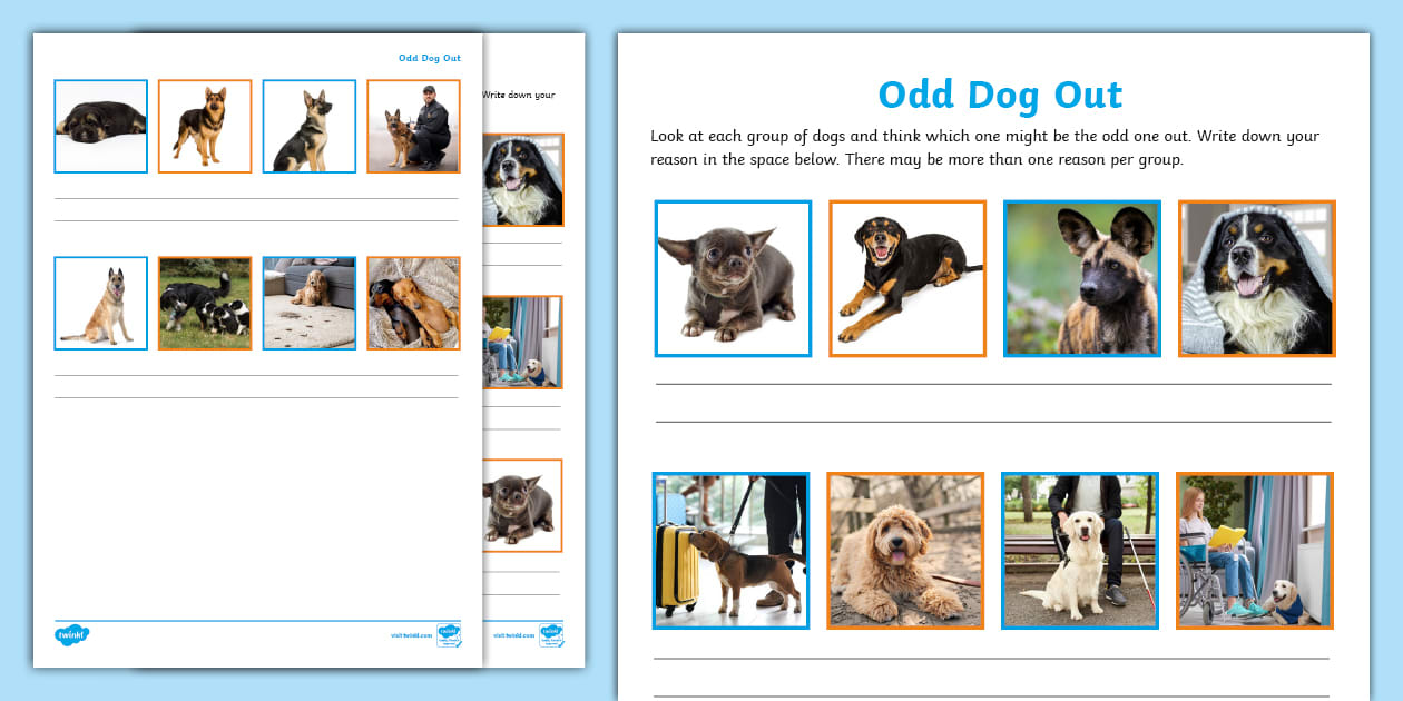 Odd Dog Out Worksheet - Twinkl - KS2 (Teacher-Made) - Twinkl