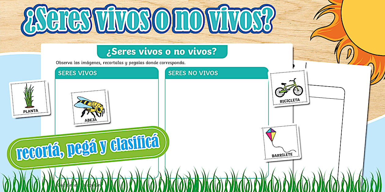 Ficha de actividad: Clasificación de seres vivos y no vivos