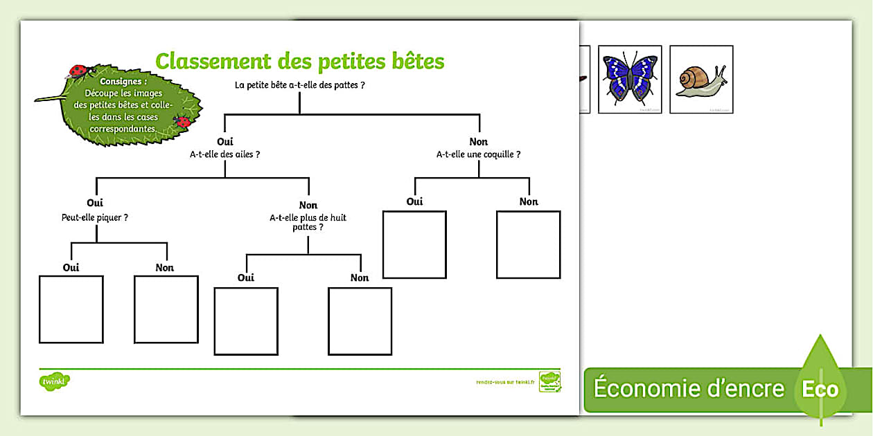 Activité de classement des petites bêtes (teacher made)