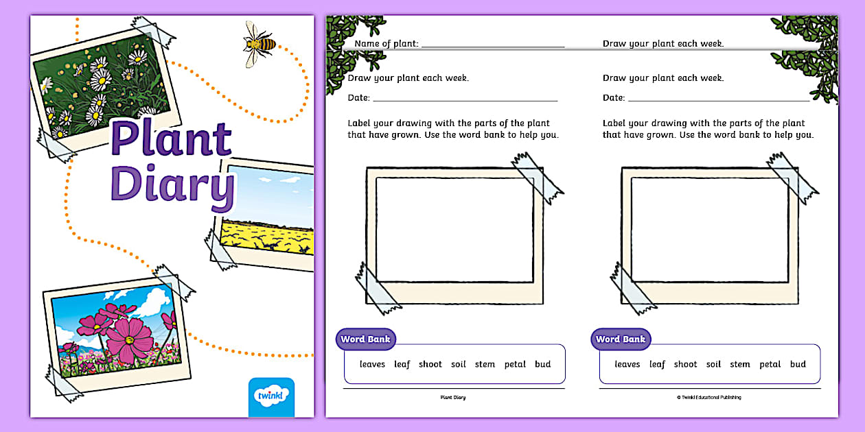 Editable Year 1 Growing a Plant Diary (teacher made)