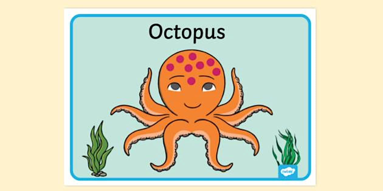 Cute Octopus Poster for Display | Primary Resources - Twinkl