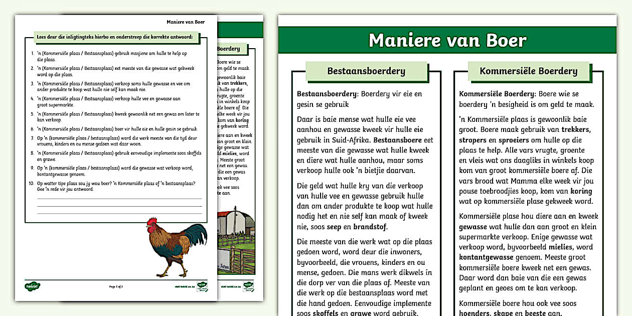 Maniere van Boer - Aktiwiteit (teacher made) - Twinkl