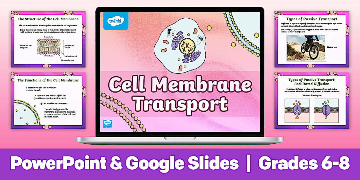 Cell Membrane Active and Passive Transport PowerPoint & GS