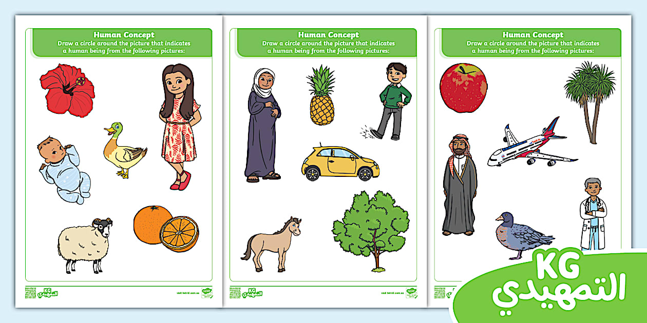 Human Concept (teacher made) - Twinkl