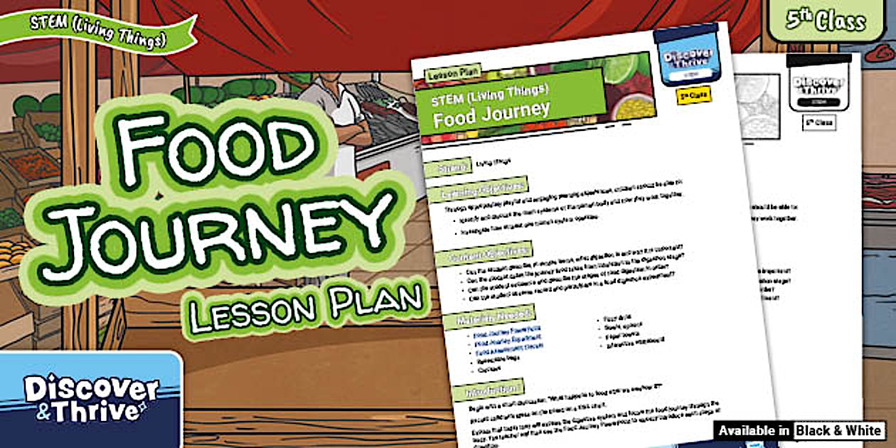 STEM (Living Things) Food Journey Lesson Plan (5th Class)