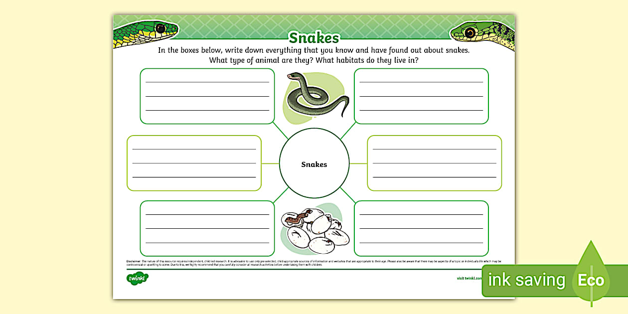 Snakes Mind Map (teacher made) - Twinkl