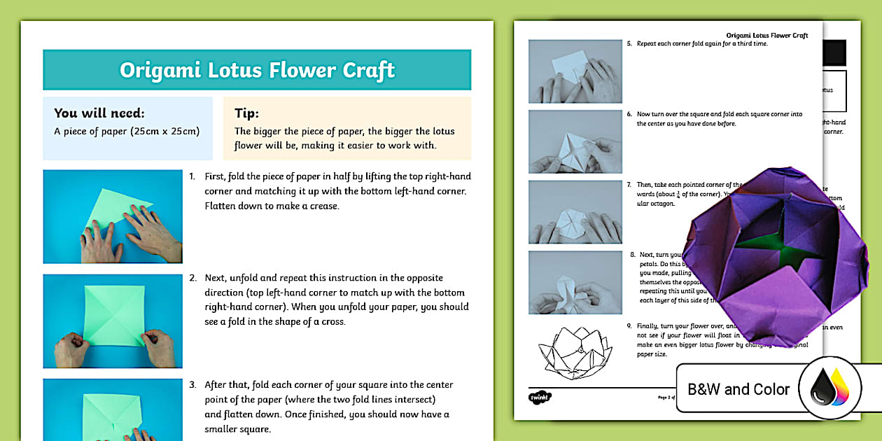 Origami Lotus Flower Craft (Teacher-Made) - Twinkl