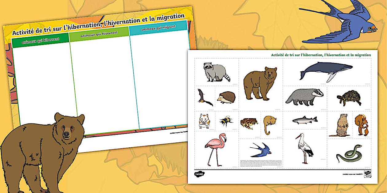 Activité de tri sur l'hibernation, l'hivernation et la migration