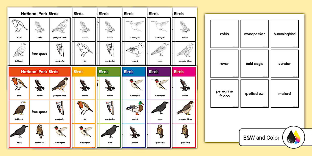 Bird Bingo Game | National Parks Week | Twinkl USA