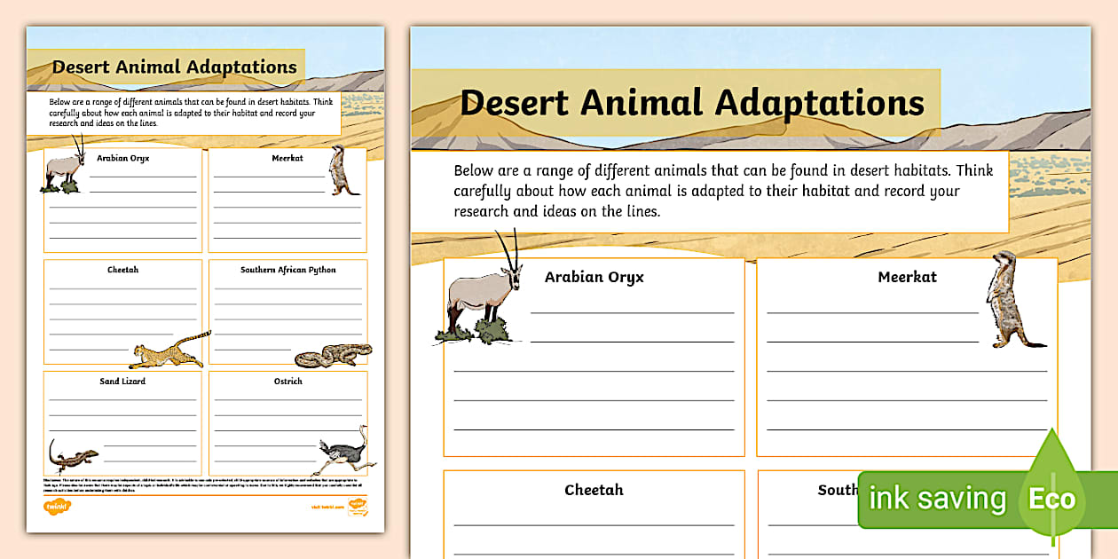 Desert Animal Adaptations Activity Sheet, Desert Animals