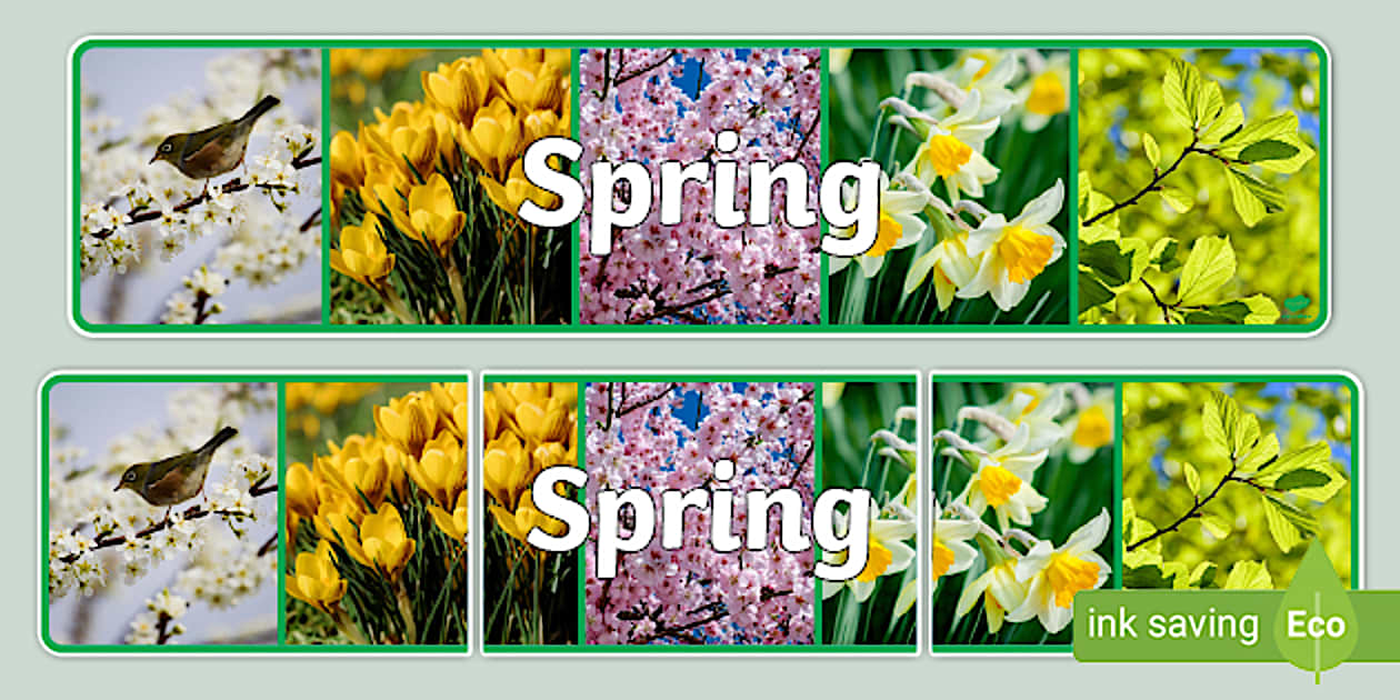 Four Seasons Photo Display Banners Spring - Twinkl